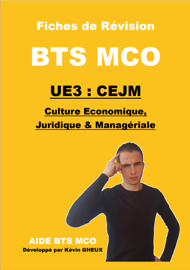 FICHES DE REVISION - UE3 / CEJM - ECONOMIE / DROIT / MANAGEMENT – AIDE BTS MCO